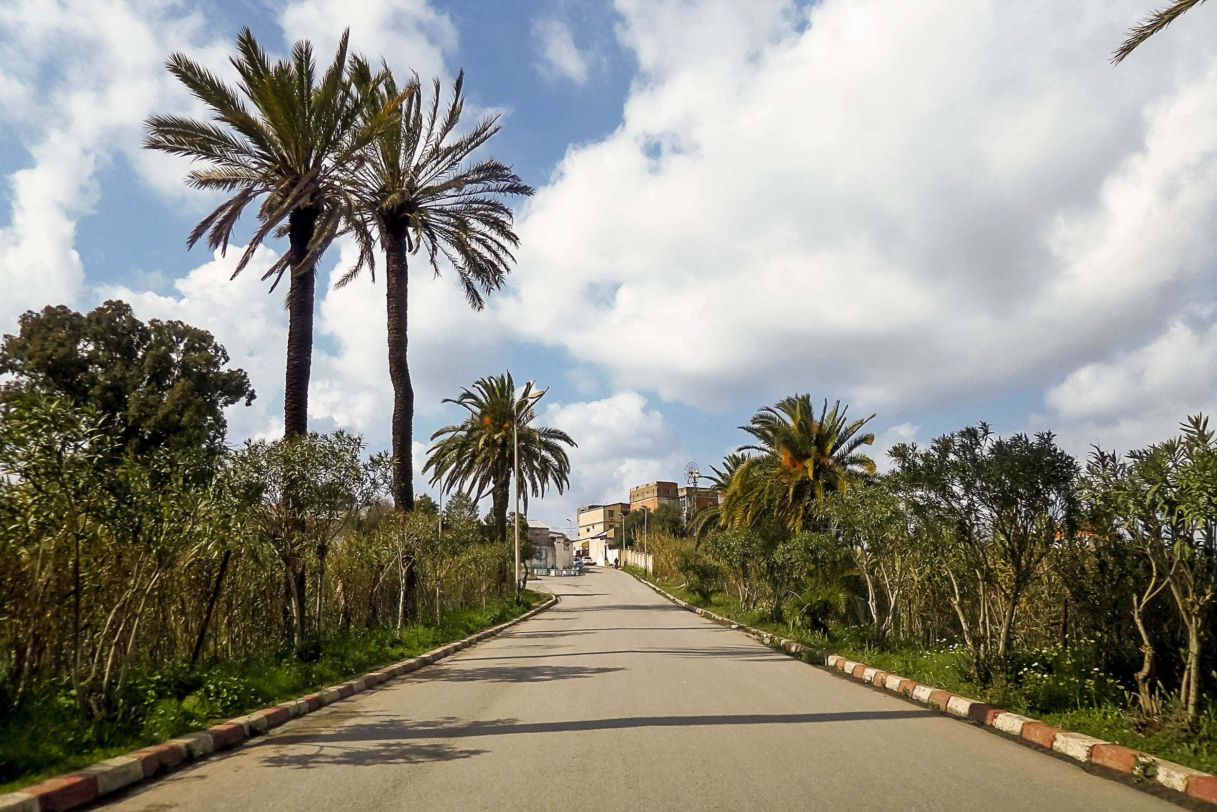 Staoueli Alger : Balnéaire Chic & Guide 2026 | Sakina DZ